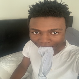 spidey ninja ghost girl | Thunderstore - The Lethal Company Mod Database