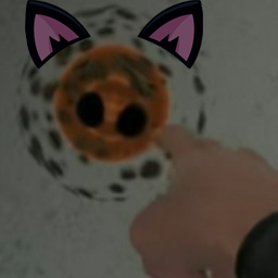 Nullcats | Thunderstore - The Boneworks Mod Database