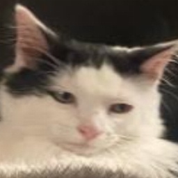 AQUA Valheim | Thunderstore - The Valheim Mod Database