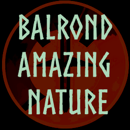 balrond amazing nature | Thunderstore - The Valheim Mod Database