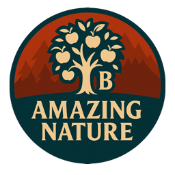 balrond amazing nature | Thunderstore - The Valheim Mod Database