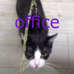 TheBoneOffice | Thunderstore - The Boneworks Mod Database