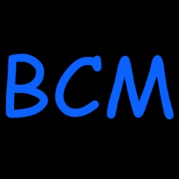 Decompiled source of BCM | Thunderstore - The ROUNDS Mod Database