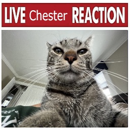 Chester ModPack | Thunderstore - The Risk of Rain 2 Mod Database