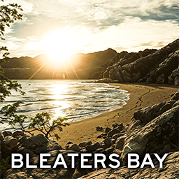 BleatersBay | Thunderstore - The Cities: Skylines II Mod Database