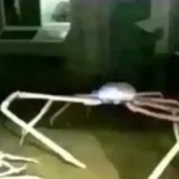 Crabpack Boombox | Thunderstore - The Lethal Company Mod Database