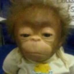 Unlock All | Thunderstore - The WEBFISHING Mod Database