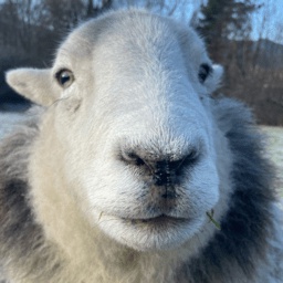 Gaming Company Modpack | Thunderstore - The Lethal Company Mod Database