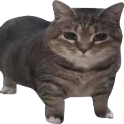 Oiia Cat Valuable version history | Thunderstore - The R.E.P.O. Mod ...