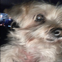 Jewie Society Posters | Thunderstore - The Lethal Company Mod Database