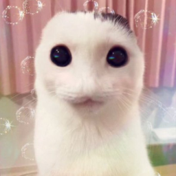 Jooj ModPack | Thunderstore - The Risk of Rain 2 Mod Database