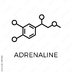 Adrenaline | Thunderstore - The Lethal Company Mod Database