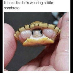 FrensPeak version history | Thunderstore - The PEAK Mod Database