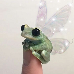 Frog KiwiTheFrog | Thunderstore - The Lethal Company Mod Database