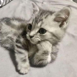 Fluffy Furry Friends Avatars | Thunderstore - The Lethal Company Mod ...