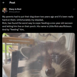 Stacy Jo Rost | Thunderstore - The Lethal Company Mod Database