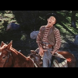 Wilhelm Falling Death Sound | Thunderstore - The Lethal Company Mod ...