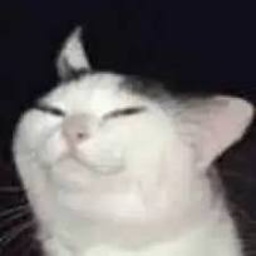 RoR1BanditPrimary | Thunderstore - The Risk of Rain 2 Mod Database