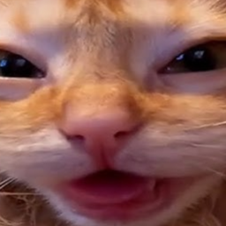 OP modpack | Thunderstore - The R.E.P.O. Mod Database