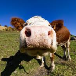 Repossession of Milk version history | Thunderstore - The R.E.P.O. Mod ...