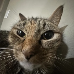 Monks Modpack | Thunderstore - The Lethal Company Mod Database