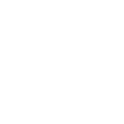 Schnee Dust Company A RWBY Mod | Thunderstore - The R.E.P.O. Mod Database