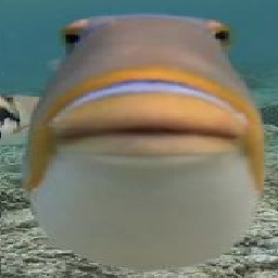 CardReplacer | Thunderstore - The ROUNDS Mod Database