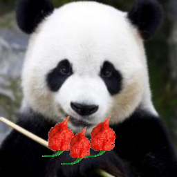 PandasHouseOfPainModPack | Thunderstore - The Valheim Mod Database