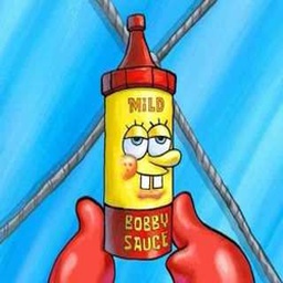 MildBobbySauceForRiskOfRain2 | Thunderstore - The Risk of Rain 2 Mod ...