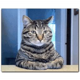 Sam Repo Pack | Thunderstore - The R.E.P.O. Mod Database