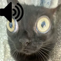 Rimurus Soundpack | Thunderstore - The Lethal Company Mod Database