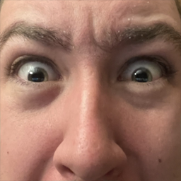 Max Suit version history | Thunderstore - The Lethal Company Mod Database