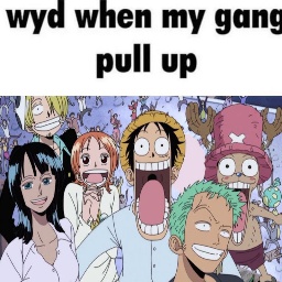 One Piece Cosmetics | Thunderstore - The Lethal Company Mod Database