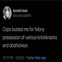 Yall Finna Get Railed | Thunderstore - The Lethal Company Mod Database