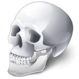 TheDRA | Thunderstore - The Lethal Company Mod Database