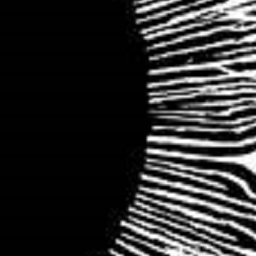 The Voyd | Thunderstore - The Valheim Mod Database