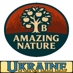 balrond amazing nature UA | Thunderstore - The Valheim Mod Database