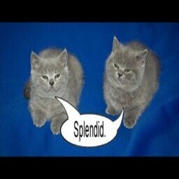 Tier 2 Tech Support | Thunderstore - The Lethal Company Mod Database