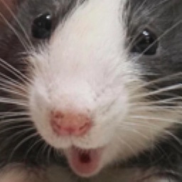 Yep a Modpack | Thunderstore - The Lethal Company Mod Database