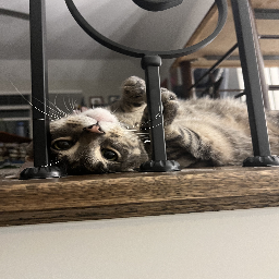 ZomZomModPack | Thunderstore - The Lethal Company Mod Database