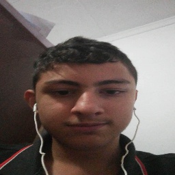 Modul jemc a lui alecs | Thunderstore - The Lethal Company Mod Database