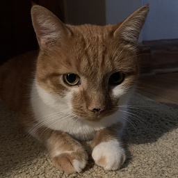 Beepus Modpack | Thunderstore - The Lethal Company Mod Database