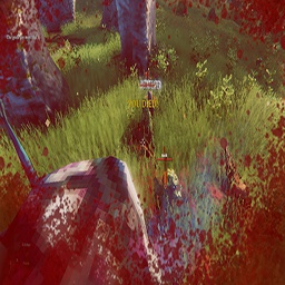 DamageOverlay | Thunderstore - The Valheim Mod Database