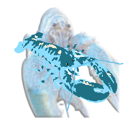 BlueLobster | Thunderstore - The WEBFISHING Mod Database