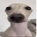 Russian songs changelog | Thunderstore - The PEAK Mod Database