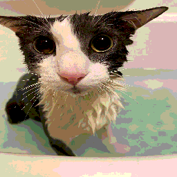 SoggyFlash | Thunderstore - The ULTRAKILL Mod Database