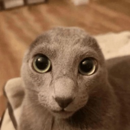 DumbPaintings | Thunderstore - The R.E.P.O. Mod Database