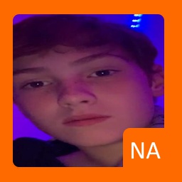 Nathan Ford | Thunderstore - The BONELAB Mod Database