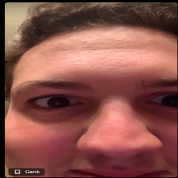 Peanut sans | Thunderstore - The Lethal Company Mod Database