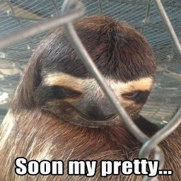 Mamaguebow | Thunderstore - The Lethal Company Mod Database